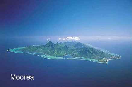 Villa Corallina, a private house for rent in Moorea island, Polynesia.